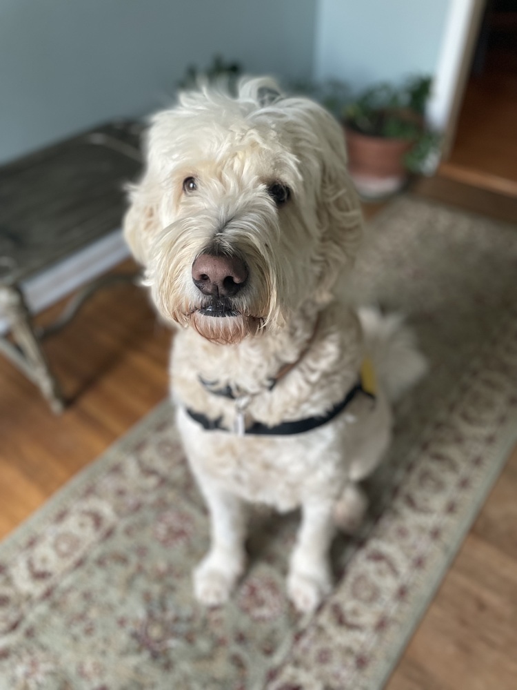 Kelsey Riddle Therapy & Wellness, Marriage & Family Therapist ...