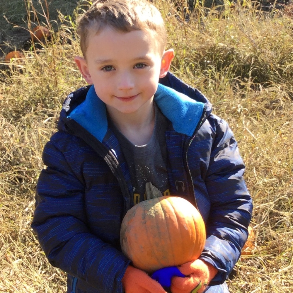 Niamh Doyle, Psychologist, Fayetteville, NY, 13066 | Psychology Today