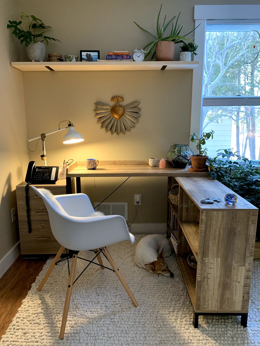 Alicia Snow, LLC, Psychiatric Nurse Practitioner, Camden, ME, 04843 ...