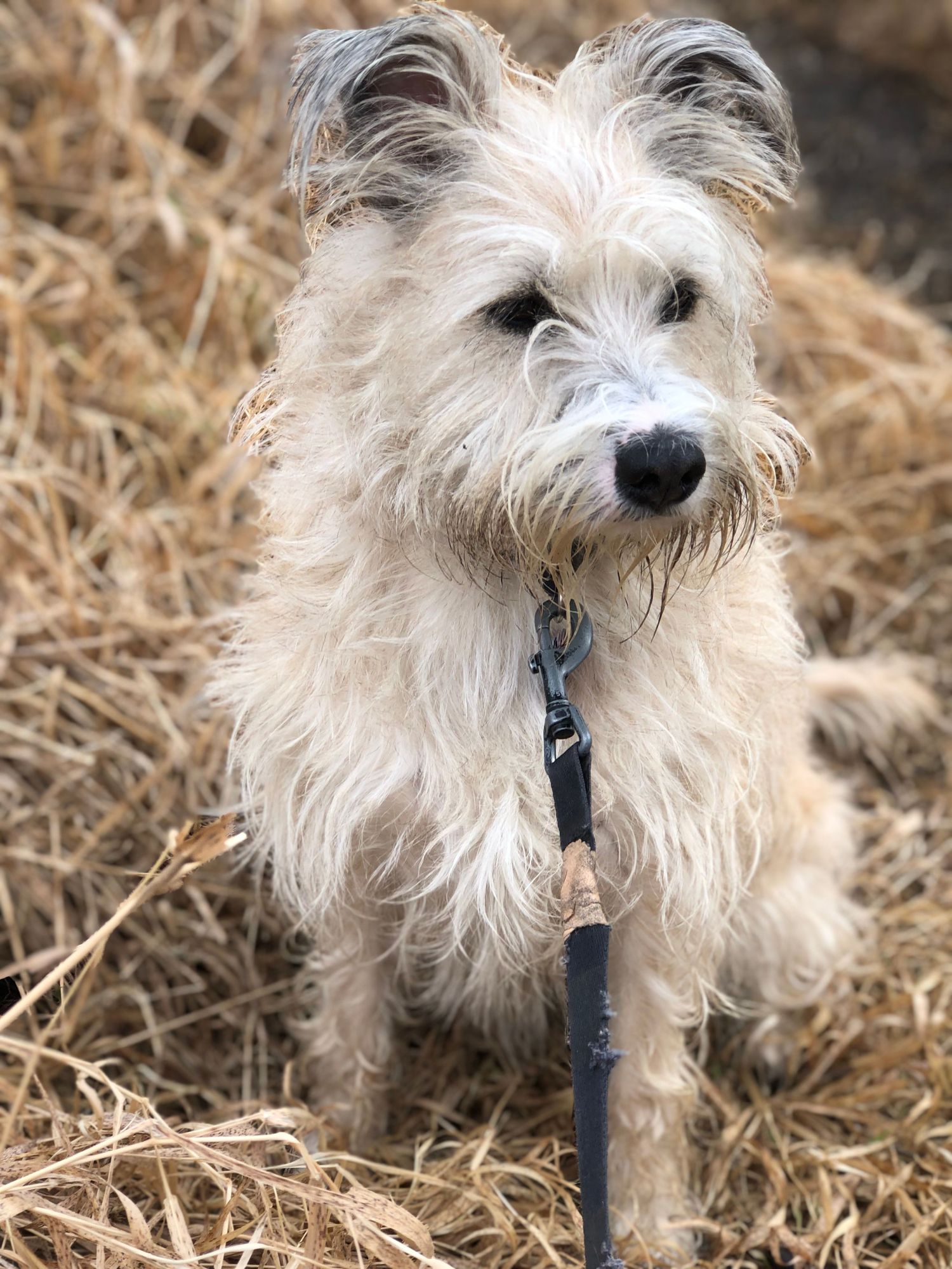 Kathleen Kenney, Clinical Social Work/Therapist, Lake Zurich, IL, 60047 ...