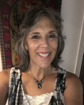 Ellen Rosen Kaplan, Clinical Social Work/Therapist, Evanston, IL, 60201 ...