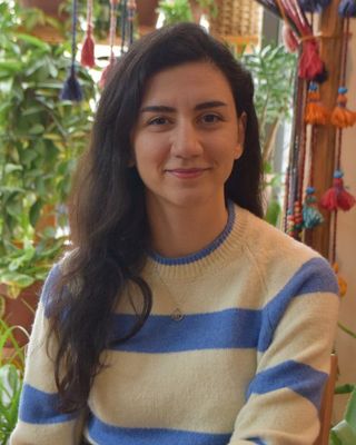 Sara Seyedi, Psychologist, Calgary, AB, T2R | Psychology Today