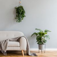 Sharon Craft, Psychiatric Nurse Practitioner, Newport News, VA, 23606 ...