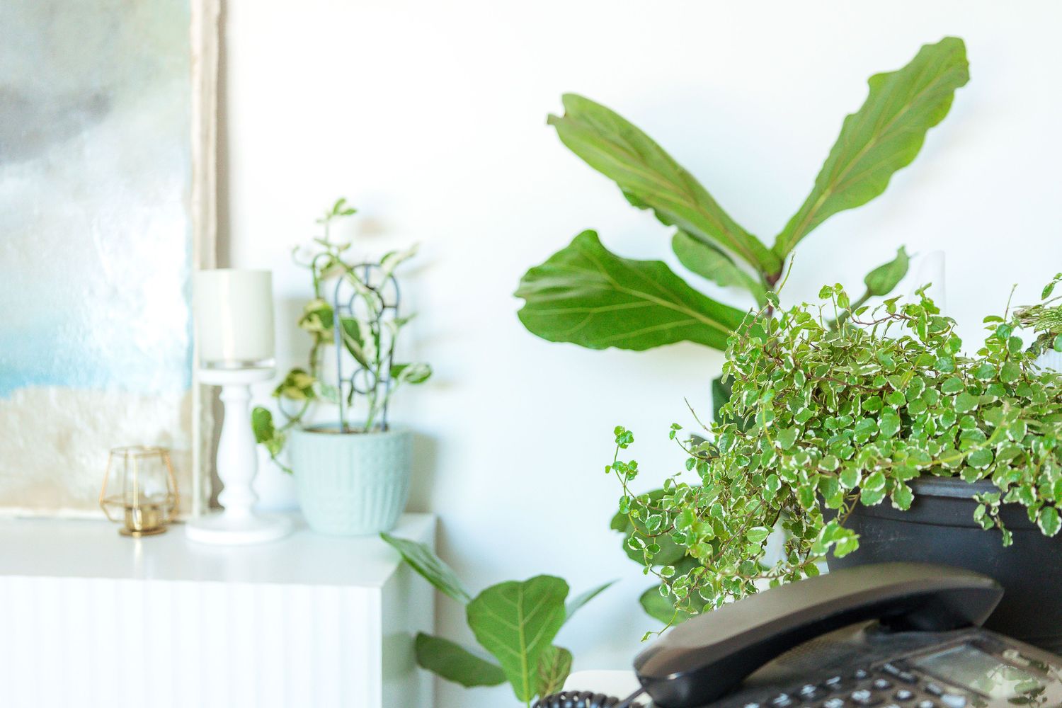 Naomi McGrath, Counsellor, Loftus, NSW, 2232 | Psychology Today