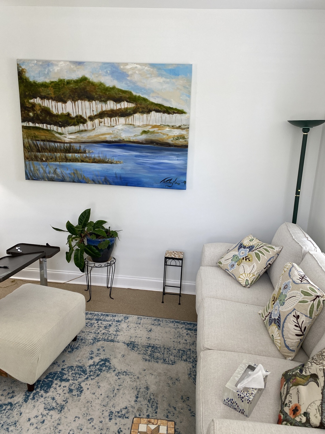 Psychotherapy30A.com, Clinical Social Work/Therapist, Santa Rosa Beach ...