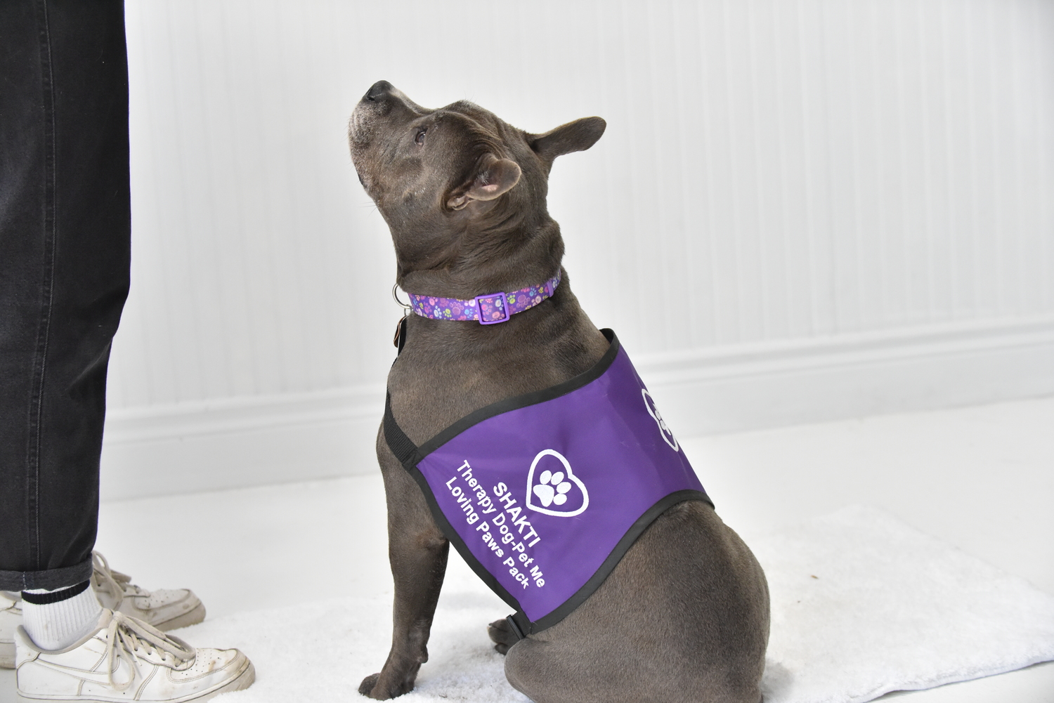 Raven Rajani, Clinical Social Work/Therapist, Lawrence, KS, 66044 ...