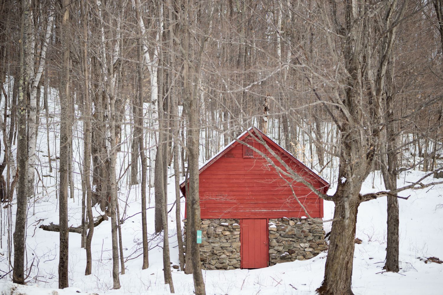 Spring Lake Ranch Therapeutic Community, Treatment Center ...