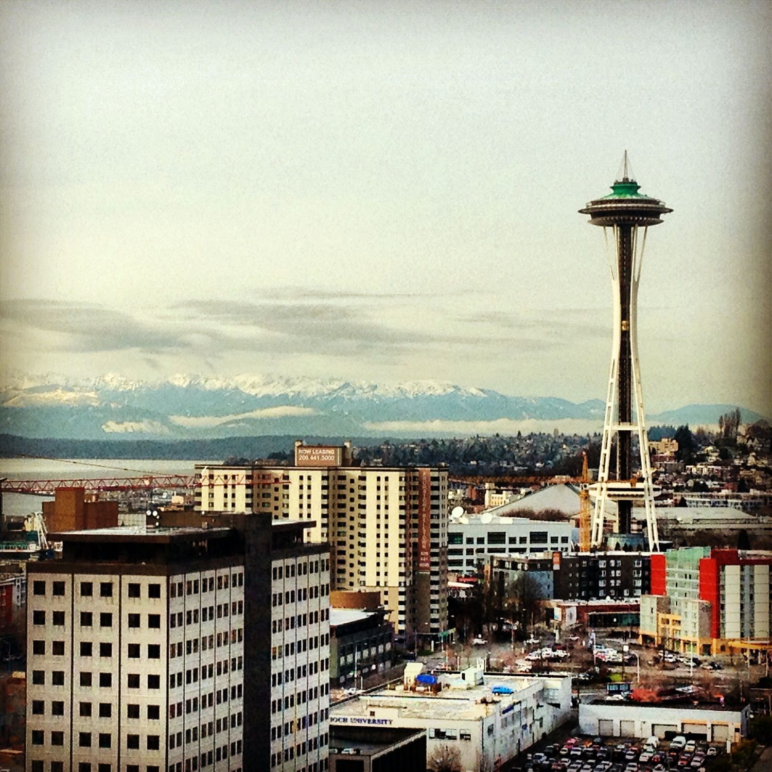 Dr. Danielle Dorn, PsyD, Psychologist, Seattle, WA, 98109 | Psychology ...