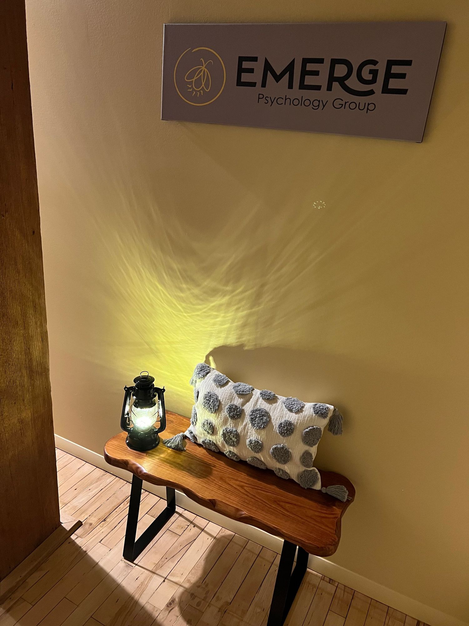 Xoe Wise, Clinical Social Work/Therapist, Chicago, IL, 60613 ...