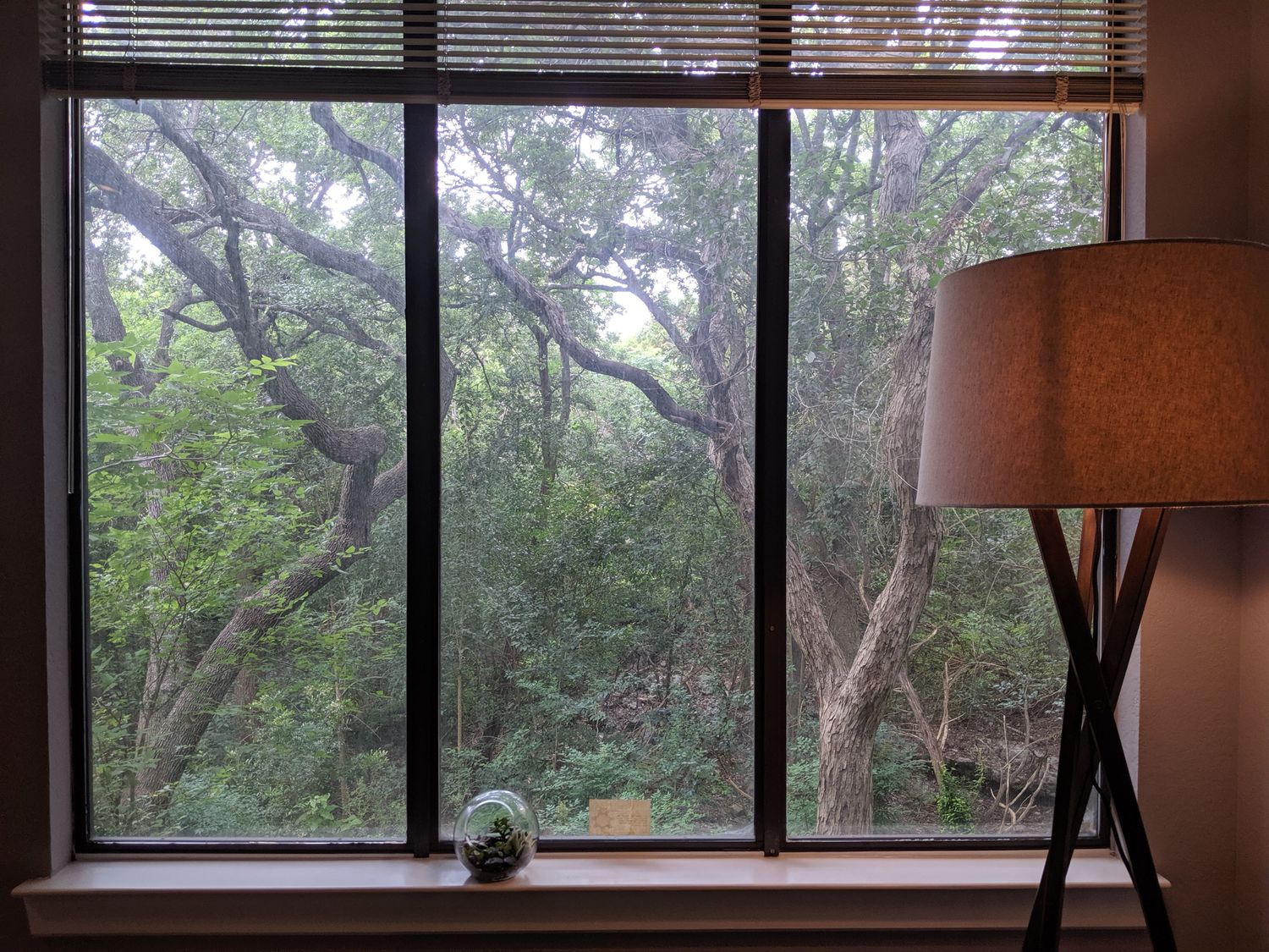 Jennifer Nuño, LPC Intern, Austin, TX, 78759 | Psychology Today