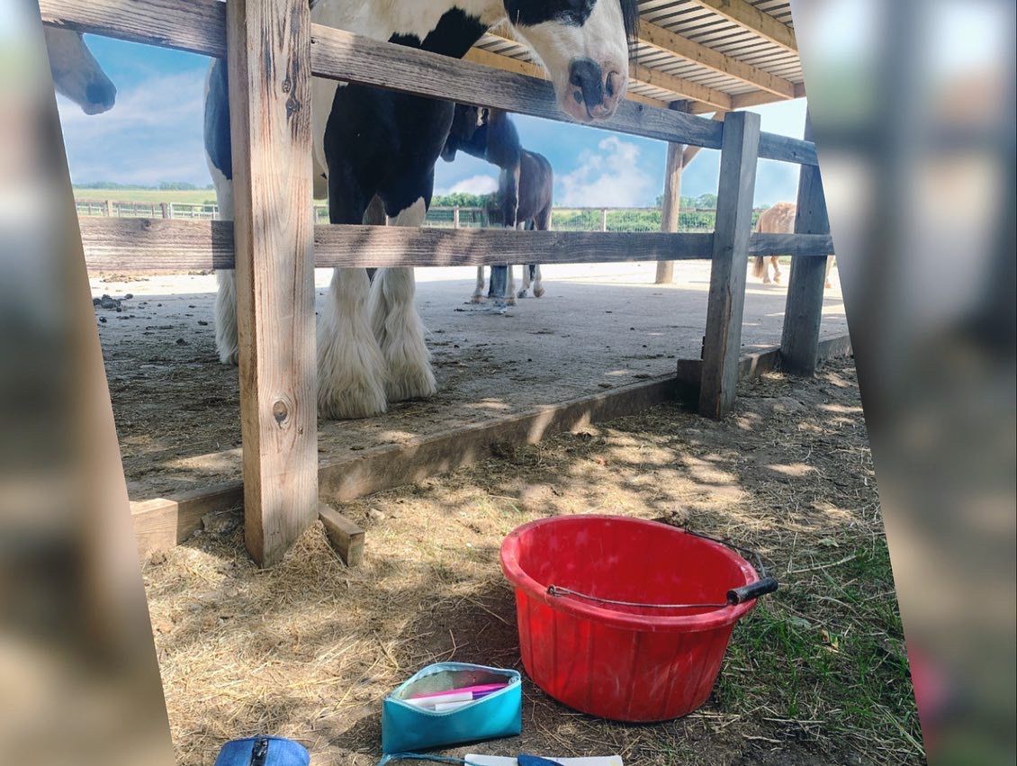 Lucy McGroarty, Counsellor, Leighton Buzzard, LU7 | Psychology Today