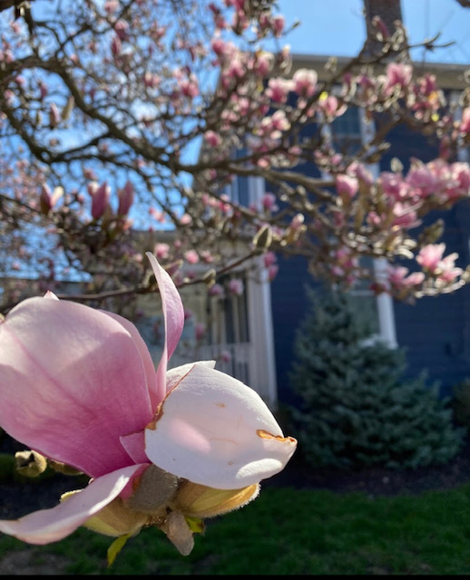 Ally Regan, Licensed Professional Counselor, Powell, OH, 43065 ...