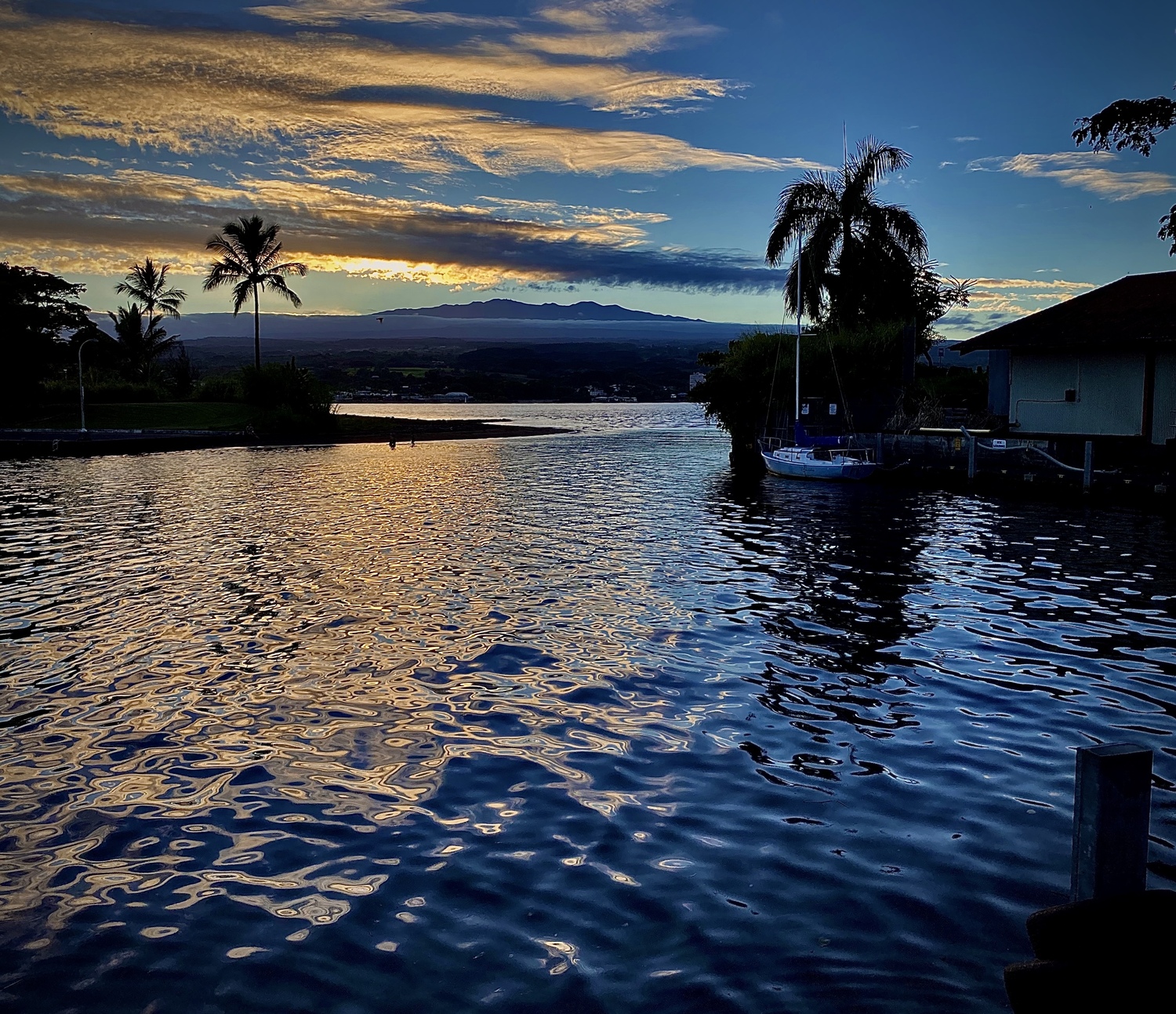 Grace Holbrook, Licensed Professional Counselor, Hilo, HI, 96720 ...