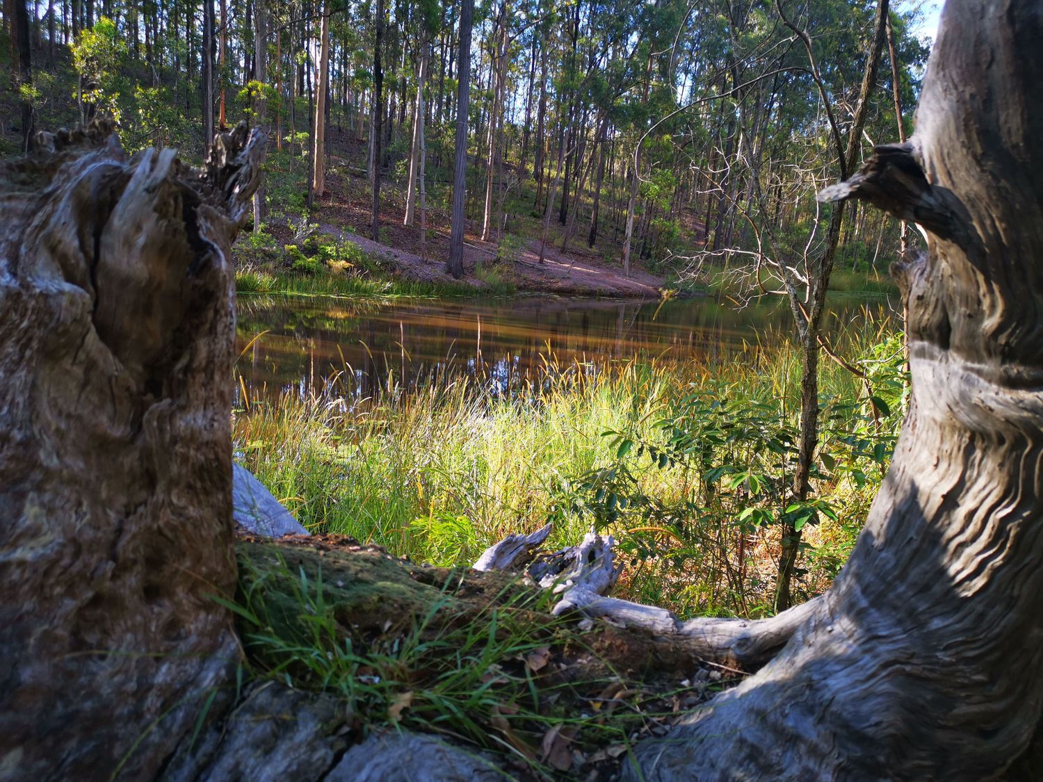 Sam Howard-van Beek, Clinical Social Work/Therapist, Enoggera, QLD ...