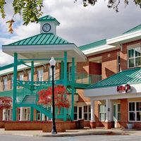 Alexander Tice, Psychologist, Sparks Glencoe, MD, 21152 | Psychology Today