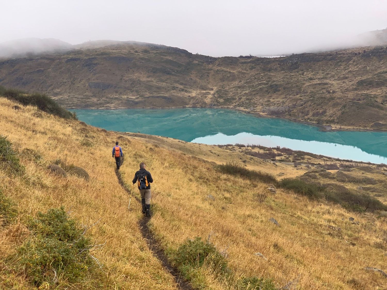 Dr. Jamie Scoular, PhD, Psychologist, Missoula, MT, 59802 | Psychology ...
