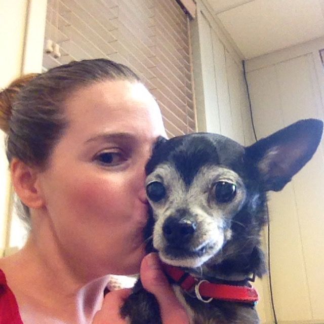 Melissa Coyle, Clinical Social Work/Therapist, Lake Grove, NY, 11755 ...