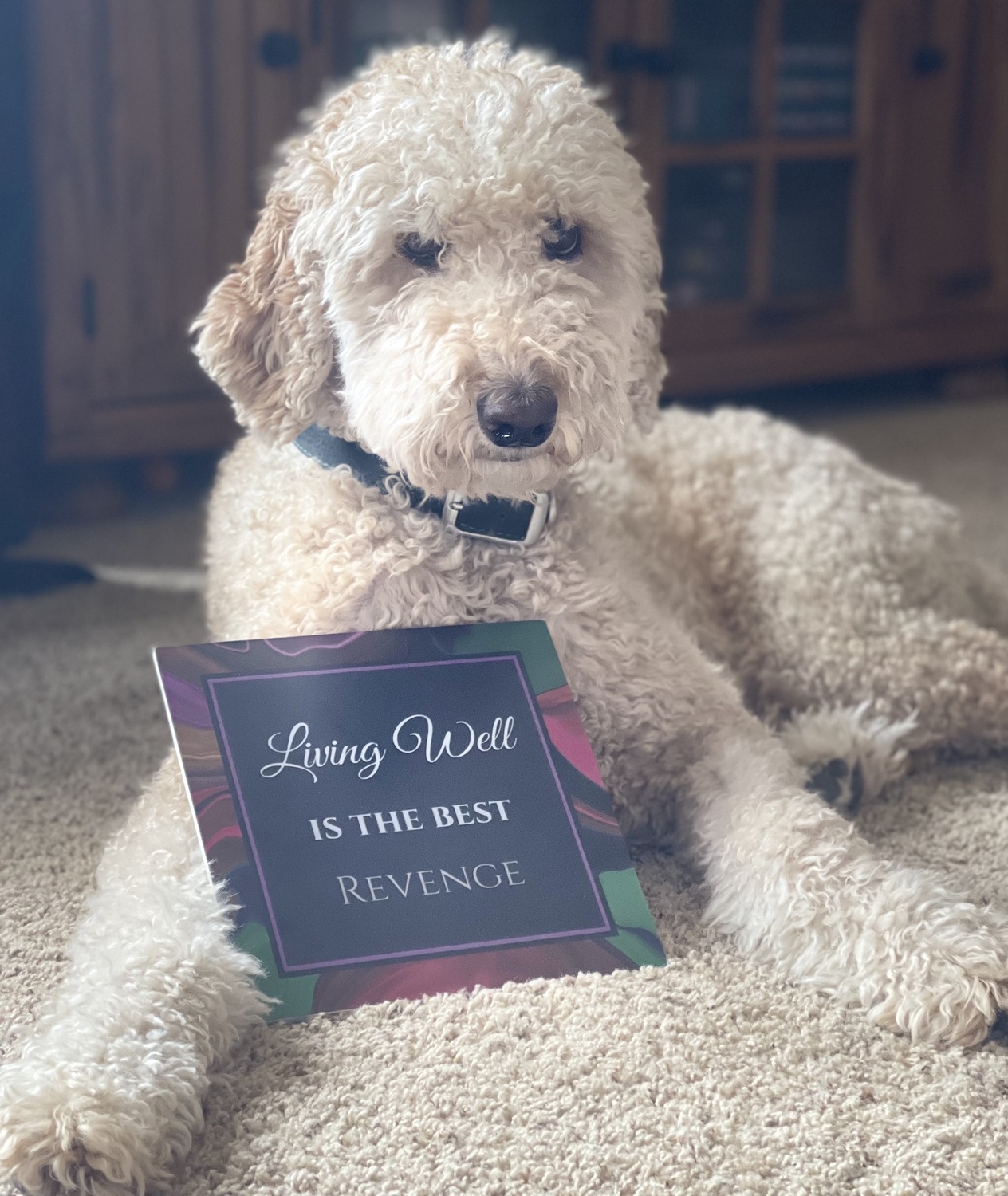 Amie Deitel, Marriage & Family Therapist Associate, Newbury Park, CA ...