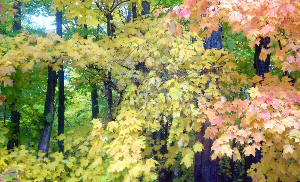 Megan Mathias, Counselor, Reynoldsburg, OH, 43068 | Psychology Today