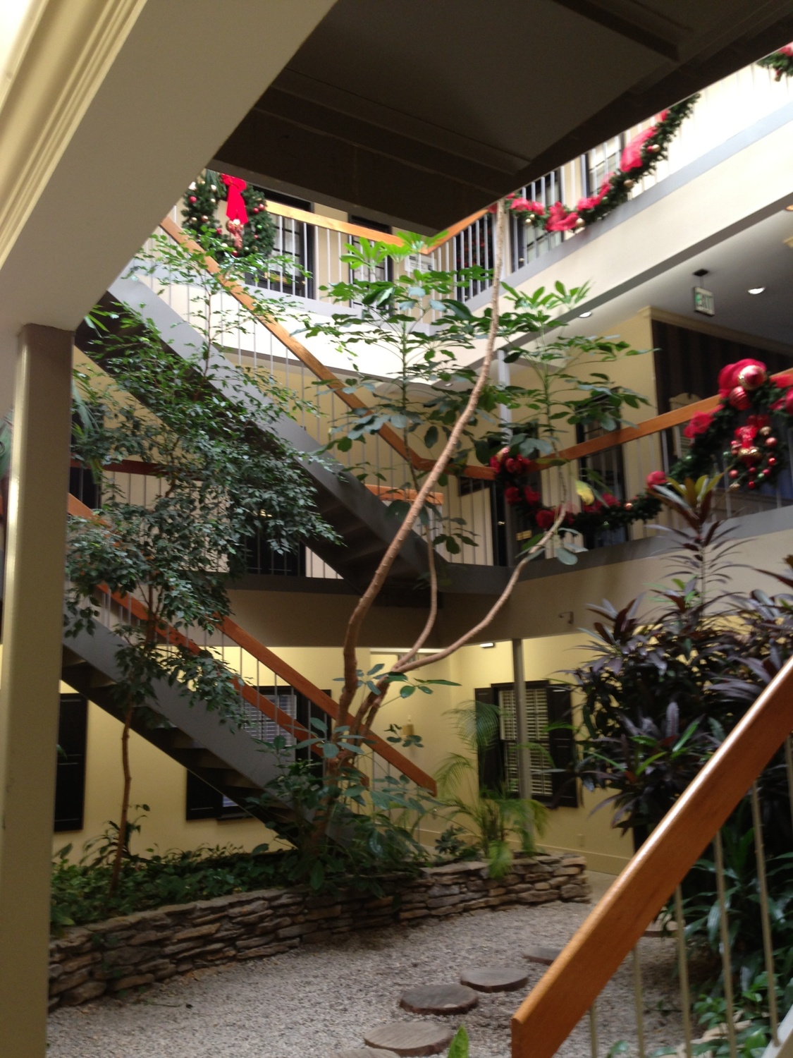 Emily Vaughan, Counselor, Lexington, KY, 40502 | Psychology Today