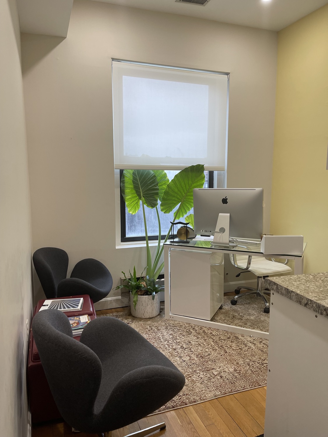 Carly Rando, Psychiatric Nurse Practitioner, Boston, MA, 02115 ...