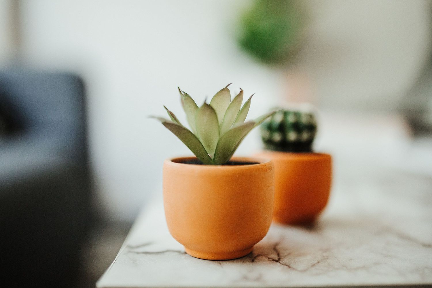 Gabrielle Swanson, LCSW, Clinical Social Work/Therapist, Saint ...