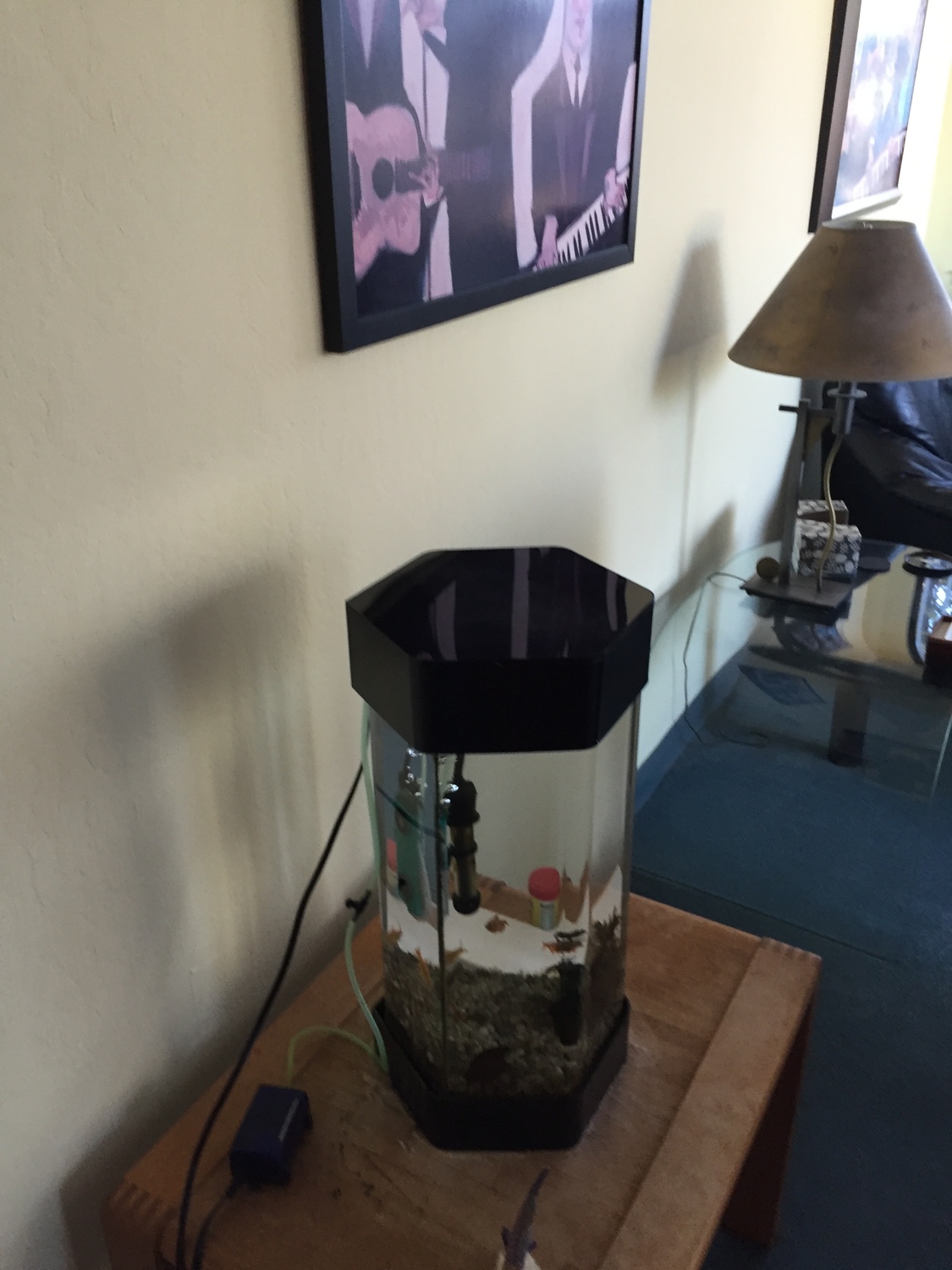 Victor Bernstein, Psychologist, Walnut Creek, CA, 94596 | Psychology Today