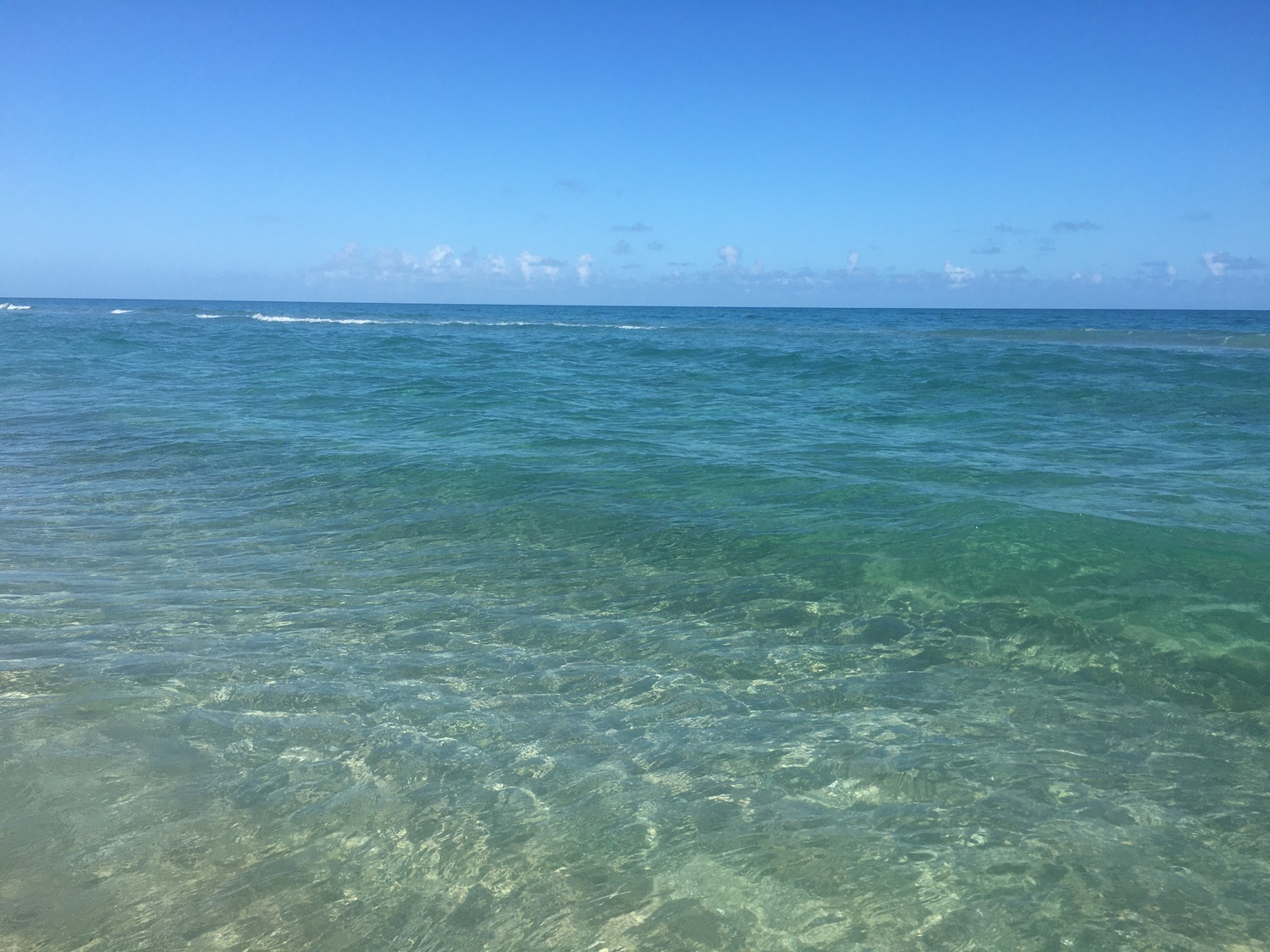 Kelly Boyle, LMFT (Star Family Therapy), Marriage & Family Therapist ...