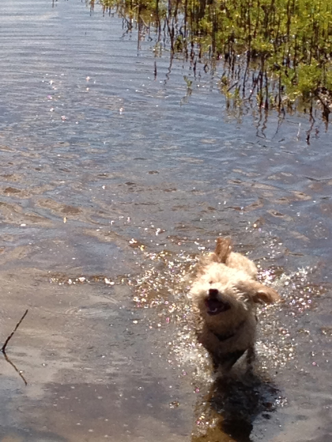 Jane Naylor Psychotherapist and Life Coach, Clinical Social Work ...