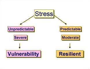 Steven Sellars, Licensed Professional Counselor, Pleasant View, TN ...