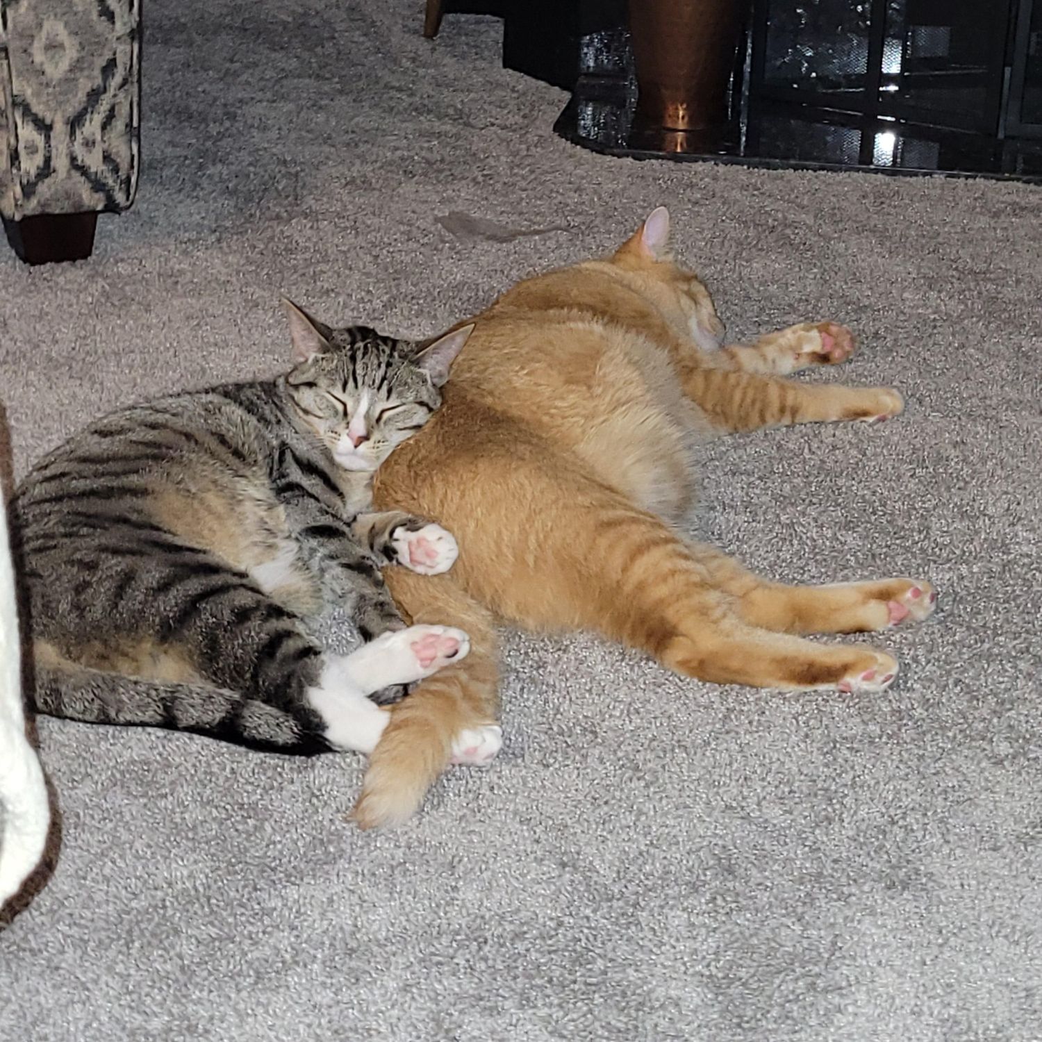 Sharon Killen, Clinical Social Work/Therapist, Farmington Hills, MI ...