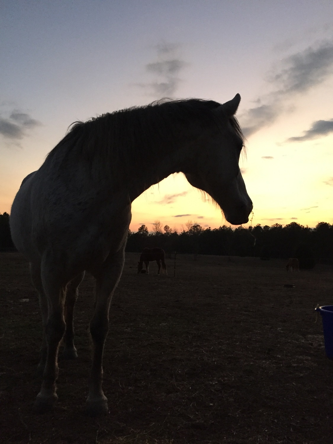 The PEACH Pit, Clinical Social Work/Therapist, Fort Valley, GA, 31030 ...