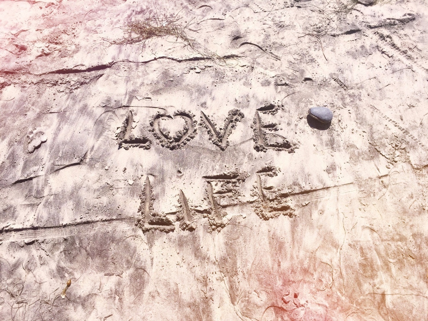 Susan Graf-Cote, Marriage & Family Therapist, San Diego, CA, 92108 ...