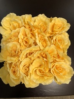 Beth Mancini, Clinical Social Work/Therapist, Woonsocket, RI, 02895 ...