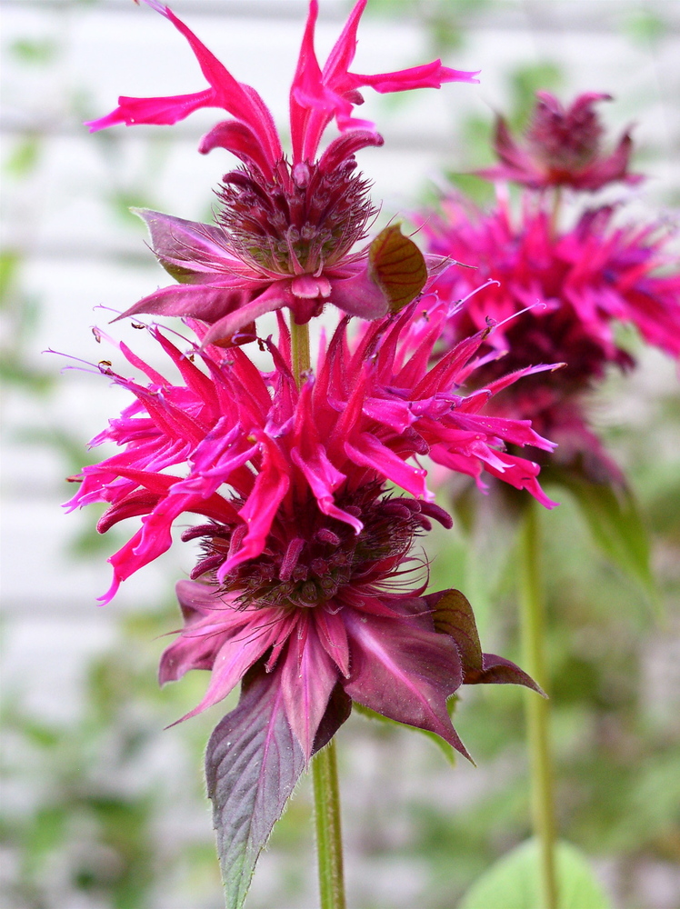 David Stube, Counselor, Missoula, MT, 59801 | Psychology Today