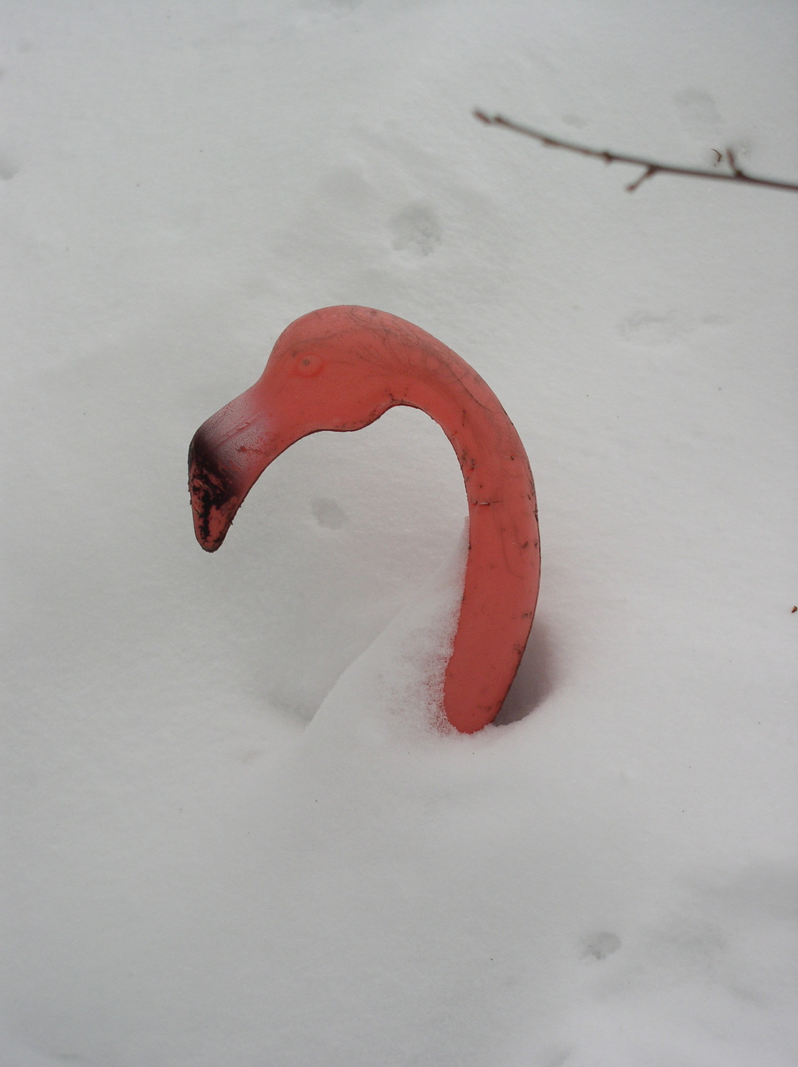 David Stube, Counselor, Missoula, MT, 59801 | Psychology Today