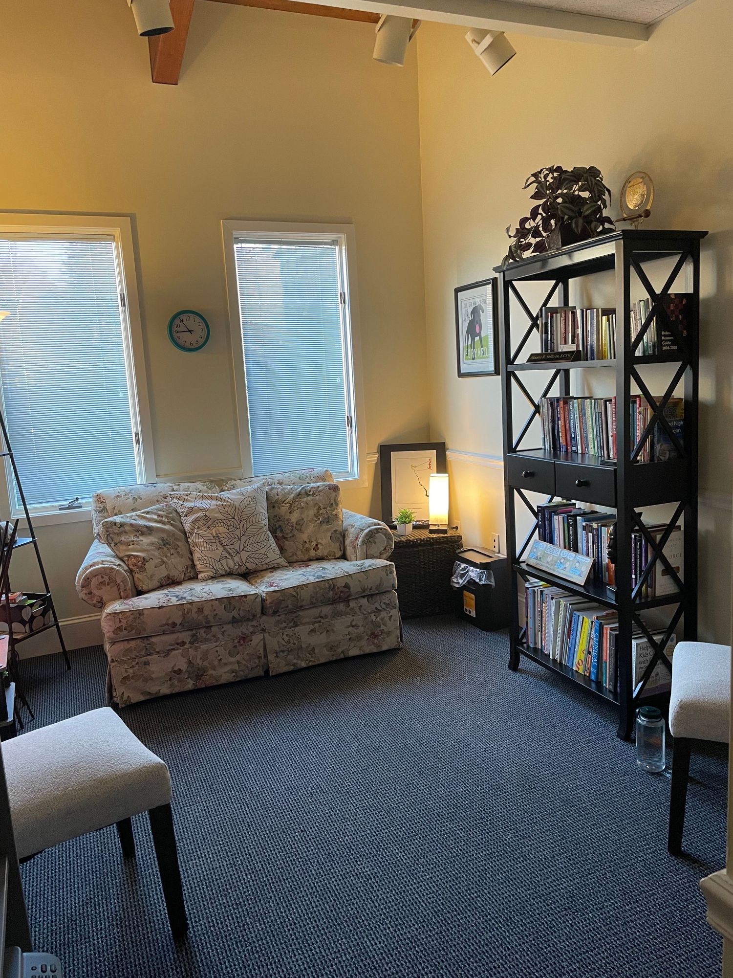 Shauna Sullivan, LCSW, LLC, EMDR Therapist, Clinical Social Work ...