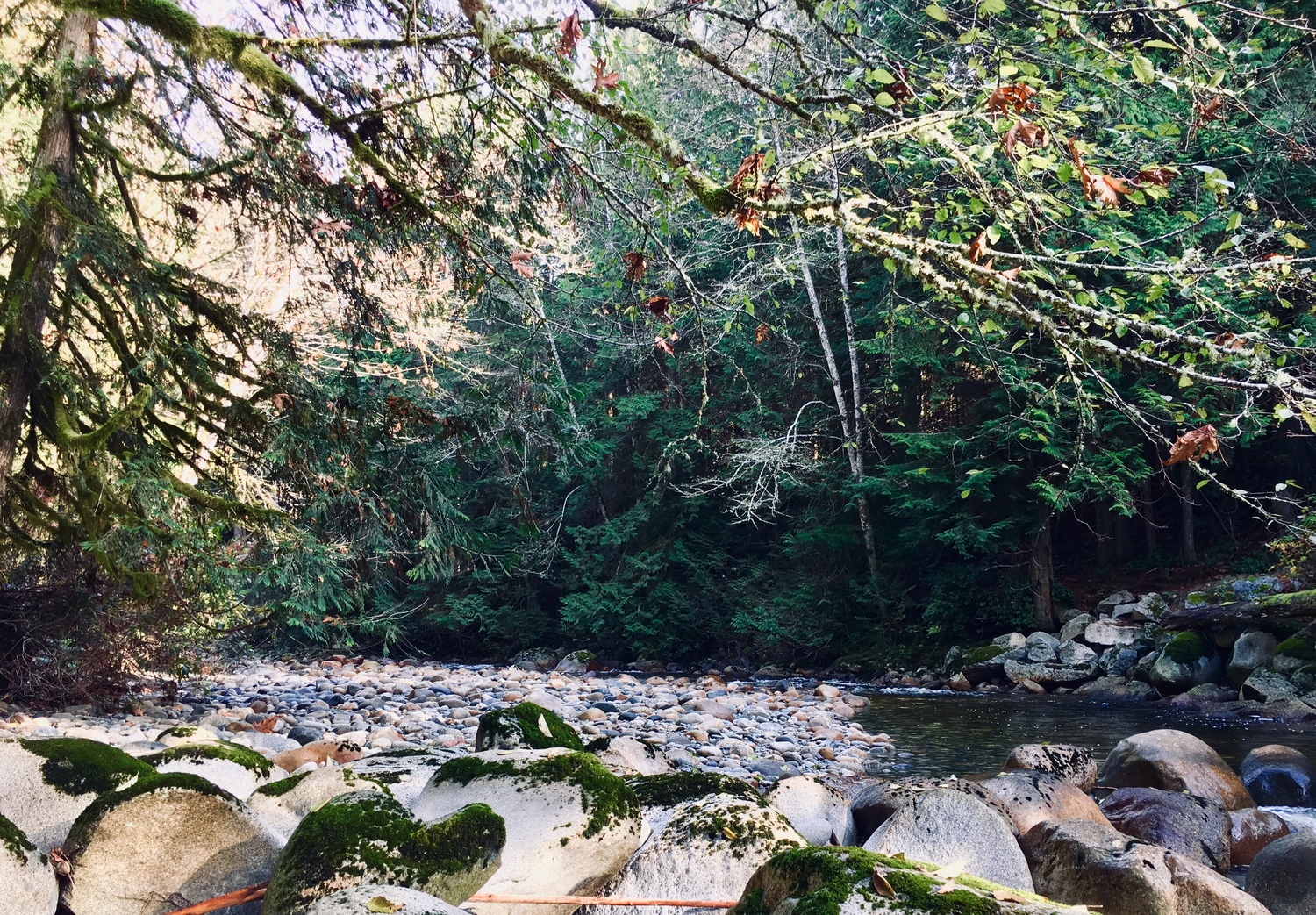 Vanessa Marie, Counsellor, Sechelt, BC, V0N | Psychology Today