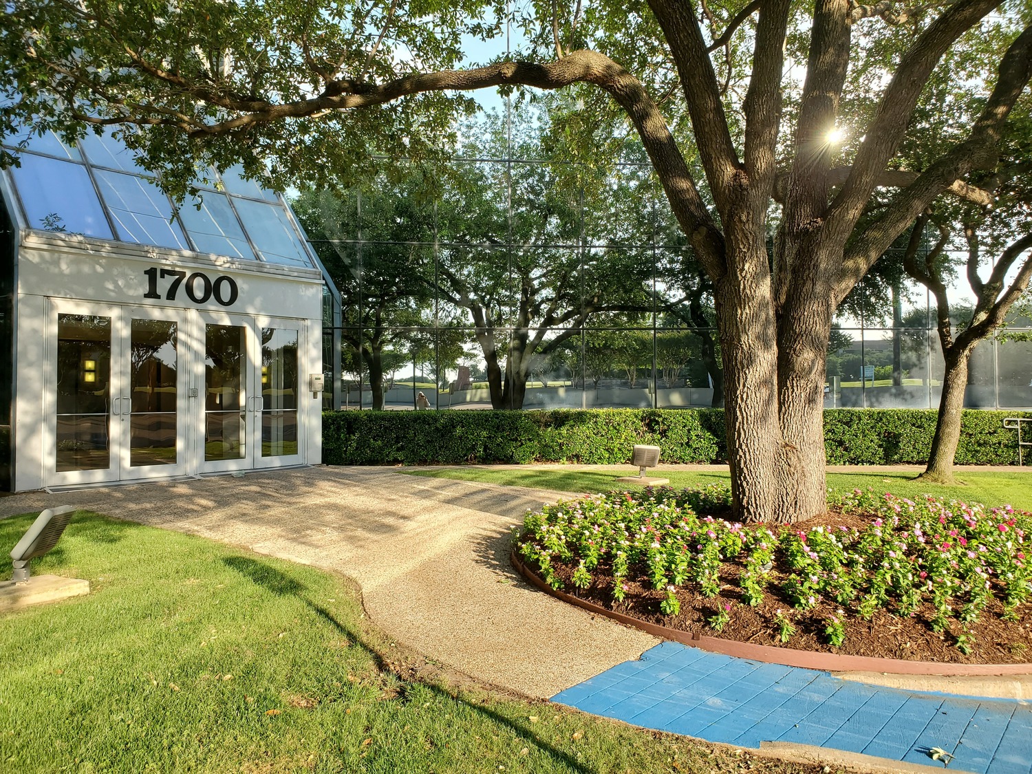 Rachel Williams, Licensed Professional Counselor, Plano, TX, 75075 ...
