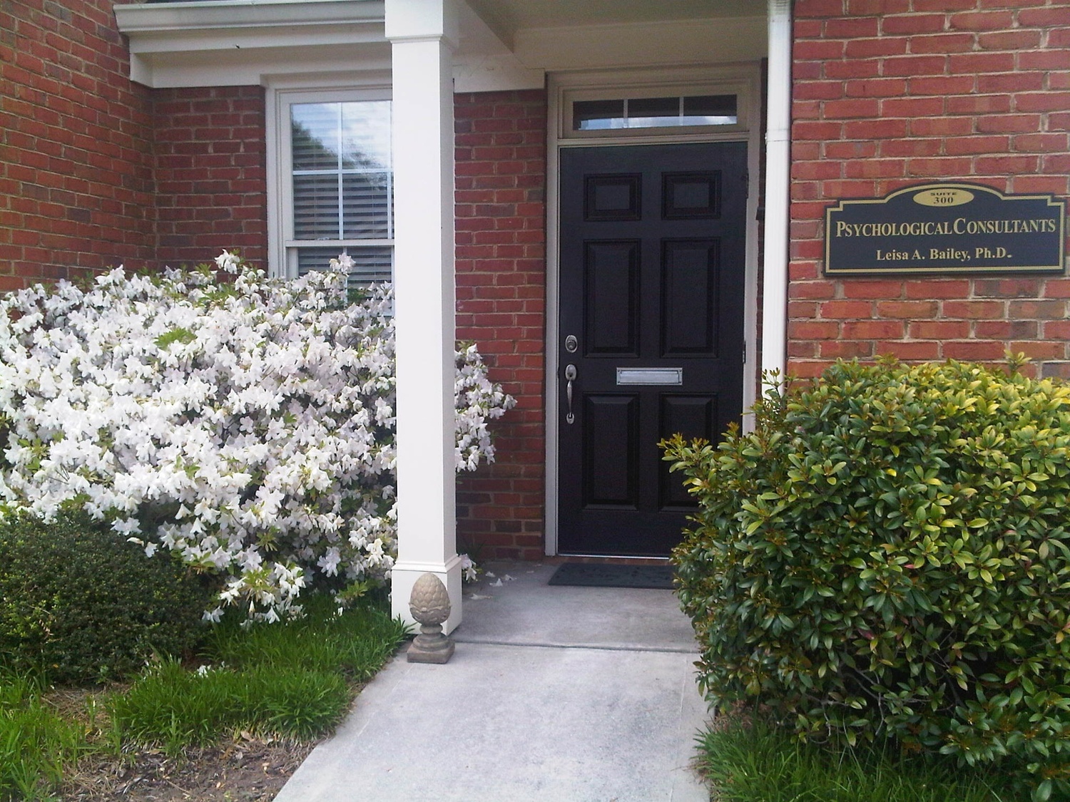 Leisa Bailey, Psychologist, Marietta, GA, 30060 | Psychology Today