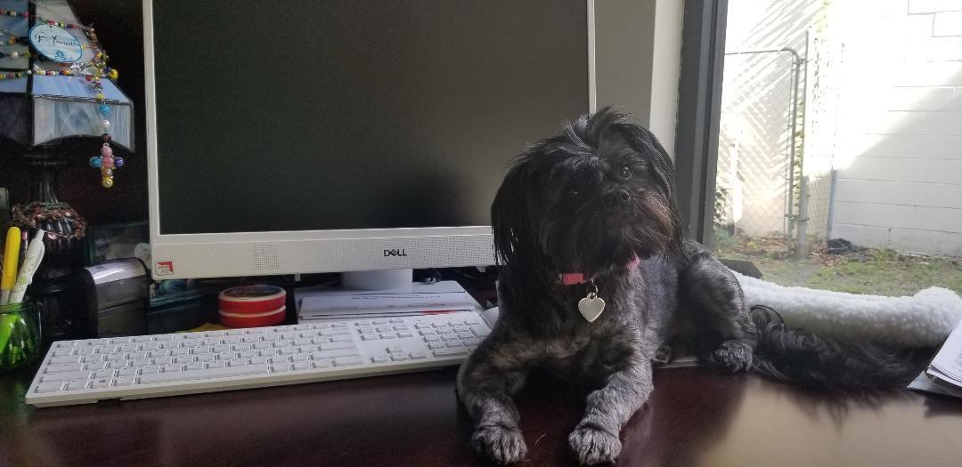 Empowered Sol Wellness Center, LLC, Clinical Social Work/Therapist ...