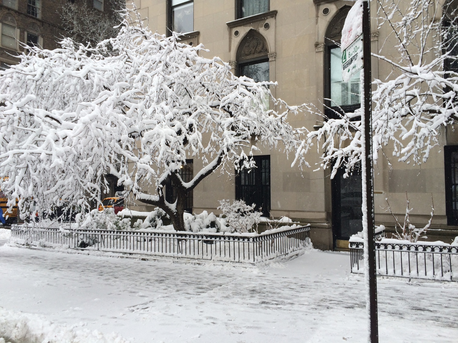 Judith Rosenberger, Clinical Social Work/Therapist, New York, NY, 10029 ...