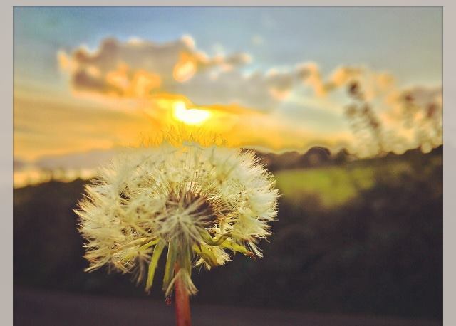 Sarah Boreham, Psychotherapist, Tavistock, PL19 | Psychology Today