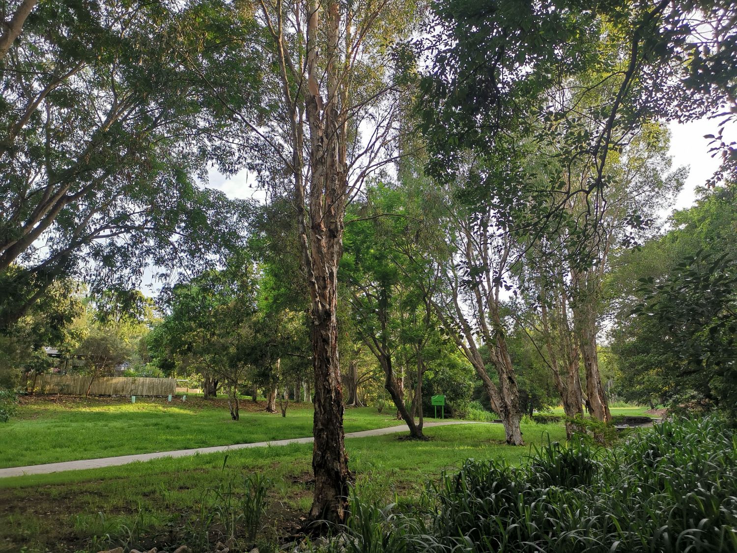 Sam Howard-van Beek, Clinical Social Work/Therapist, Enoggera, QLD ...