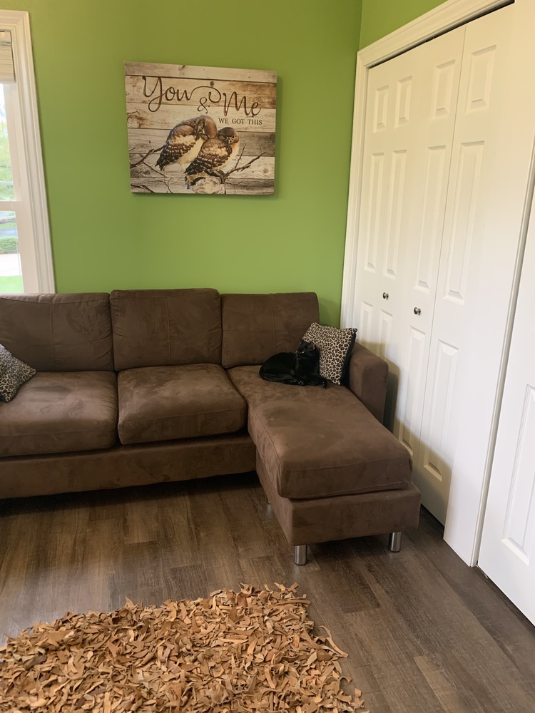 Emily Conboy, Licensed Professional Clinical Counselor, Port Clinton ...