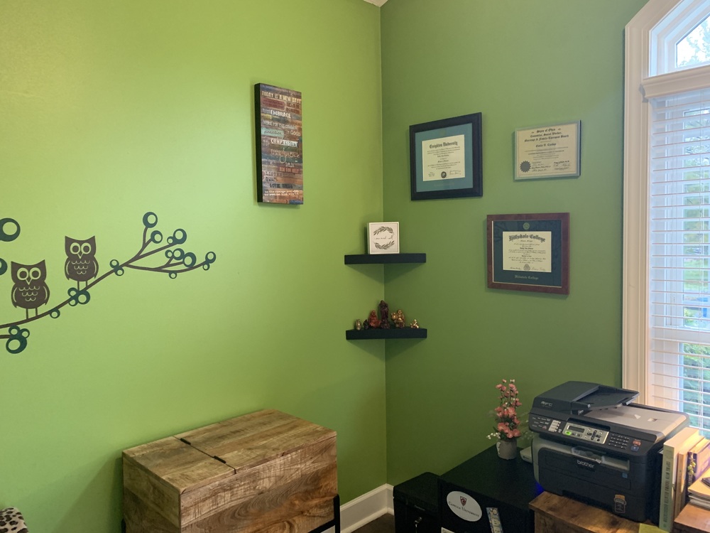 Emily Conboy, Licensed Professional Clinical Counselor, Port Clinton ...