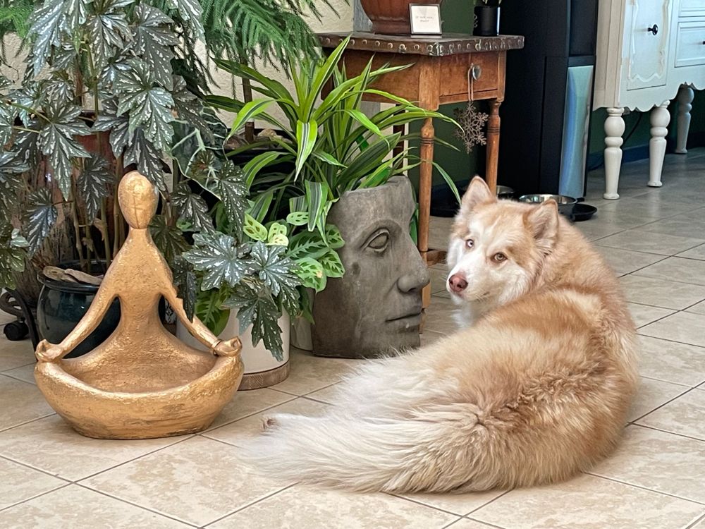 Stephanie Rowell, Counselor, Boise, ID, 83704 | Psychology Today