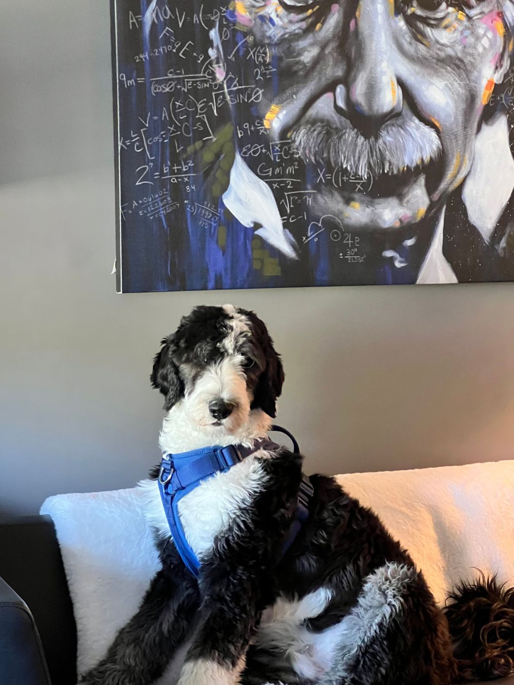 Lara Wisdom, Licensed Professional Counselor, Lenexa, KS, 66214 ...