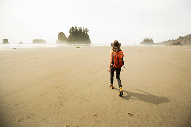 Wendy Croll, Licensed Professional Counselor, Ann Arbor, MI, 48104 ...