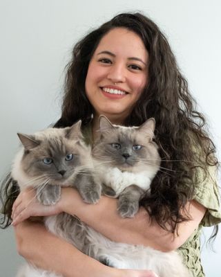 Katrina Ramirez, Licensed Professional Counselor, Chicago, IL, 60647 ...